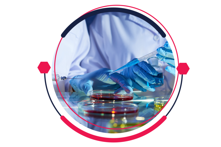 Customized Formulations
